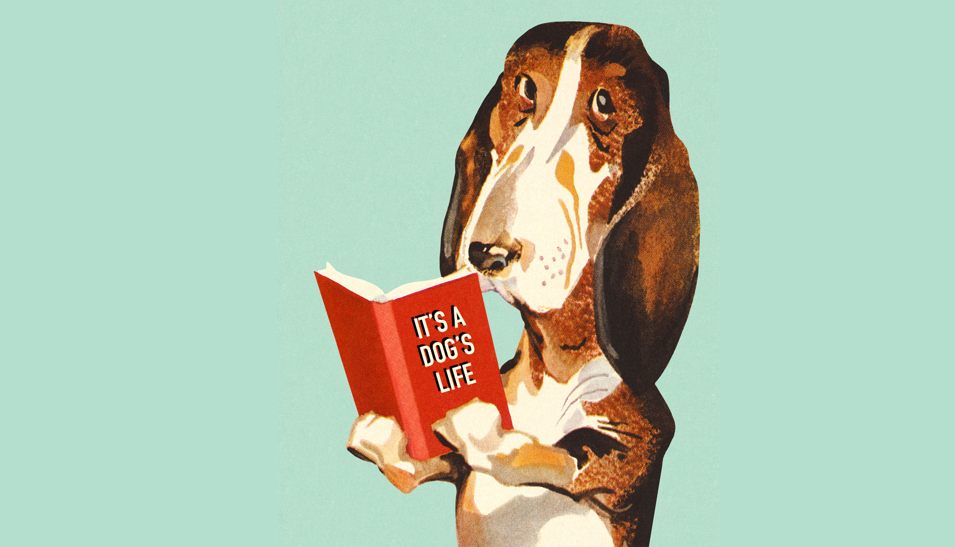 Possession - Writing Center