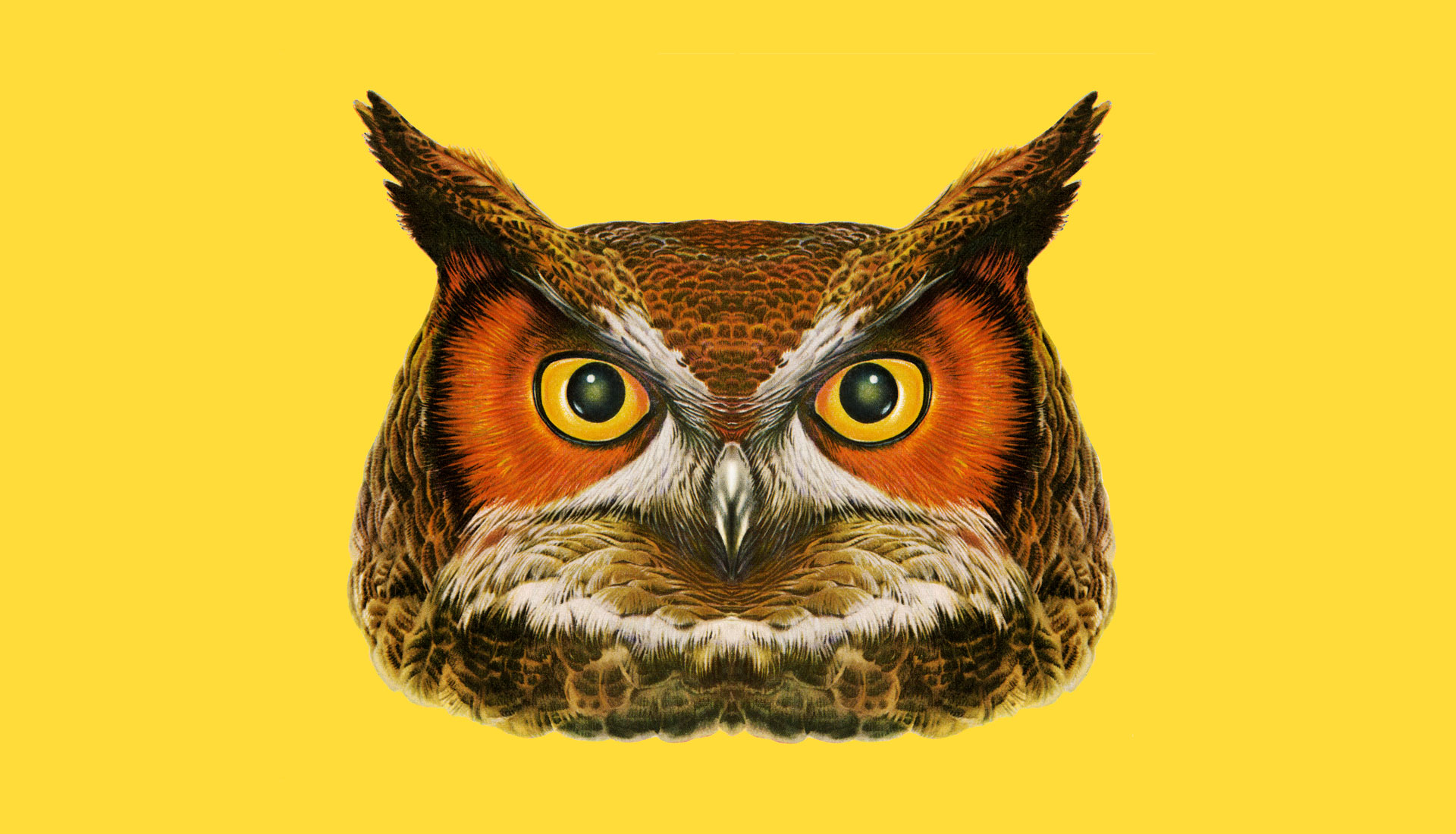 Who vs. Whom - Writing Center